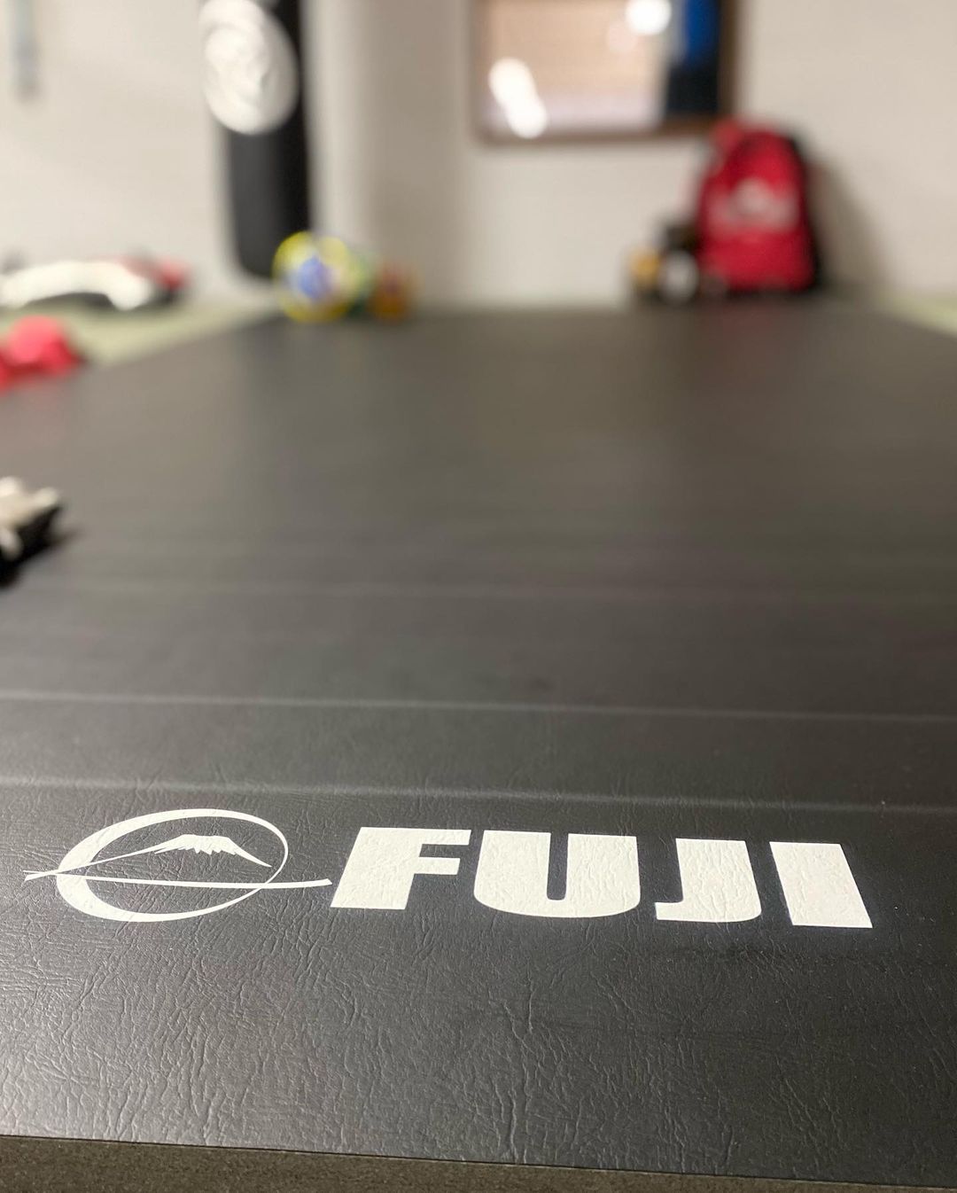 Hatashita Retail Fuji Black Home Mat System