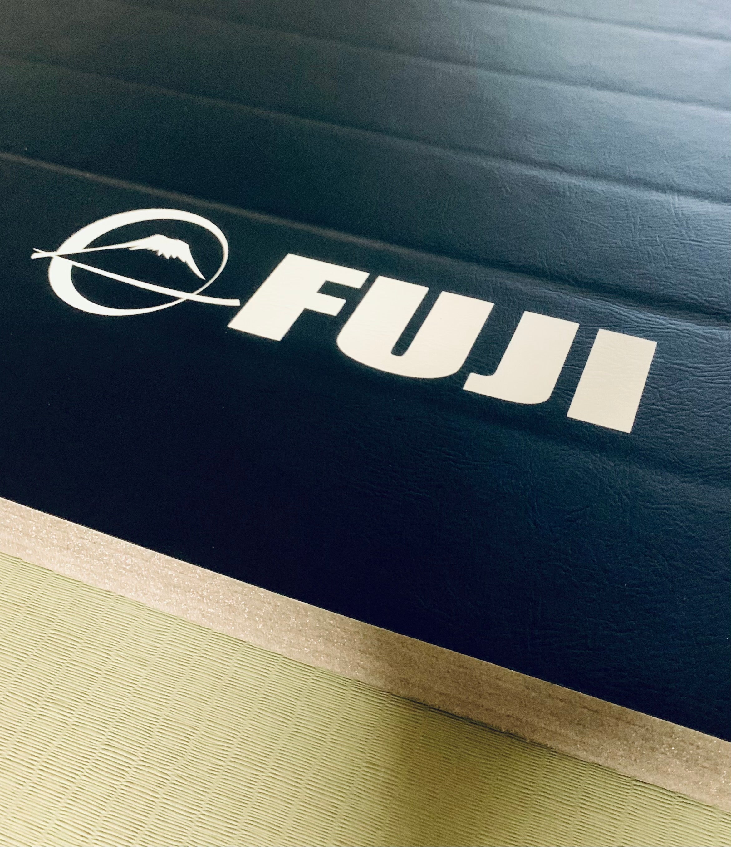Hatashita Retail Fuji Black Home Mat System